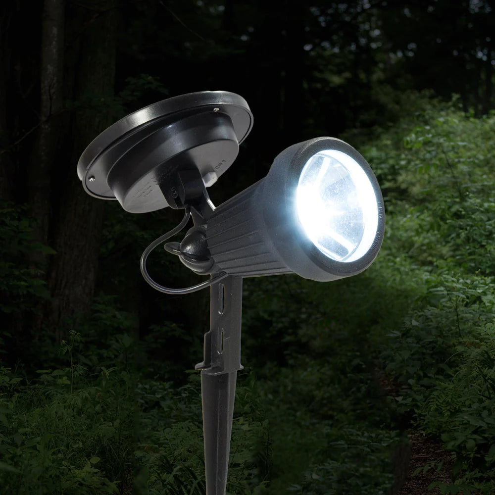 Solar Spotlight - Classy Caps High Performance, PL427 – Hansler Smith
